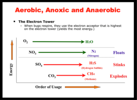 Odor and H2S Control | EBS