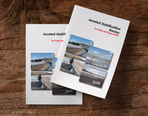 Hardcopy – ASB for Pulp and Paper Mills | EBS